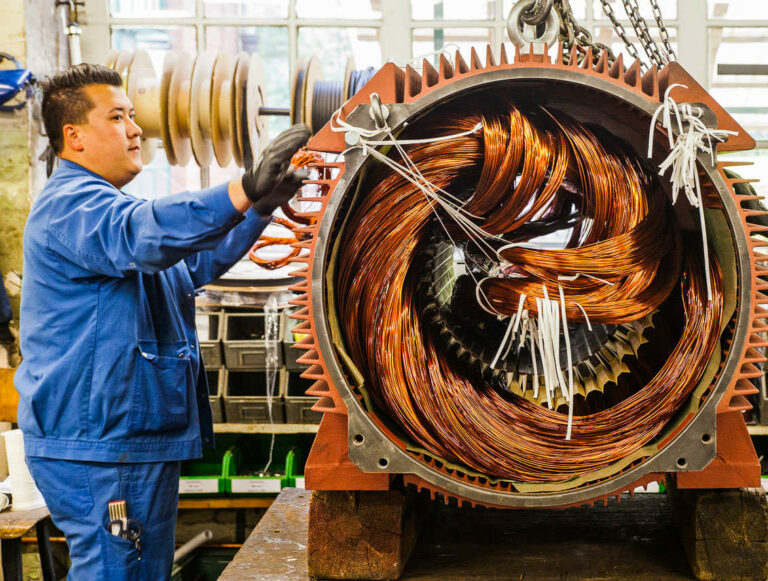 Advanced Electrical Machines MasterClass: Examples, Industrial ...
